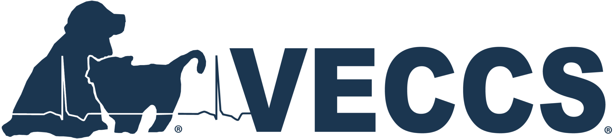 Welcome Iveccs Speakers Iveccs